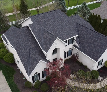 Black Sable - Exterior Alliance