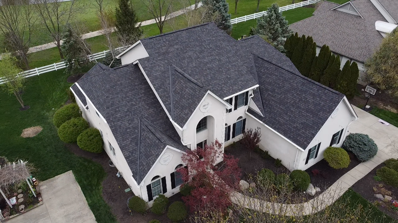 Black Sable - Exterior Alliance